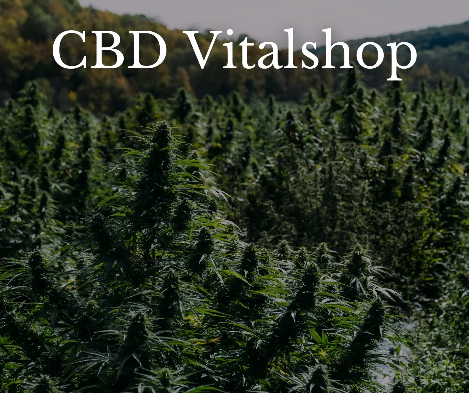 CBD Shop mit tollen Produkten für die Gesundheit 🌱